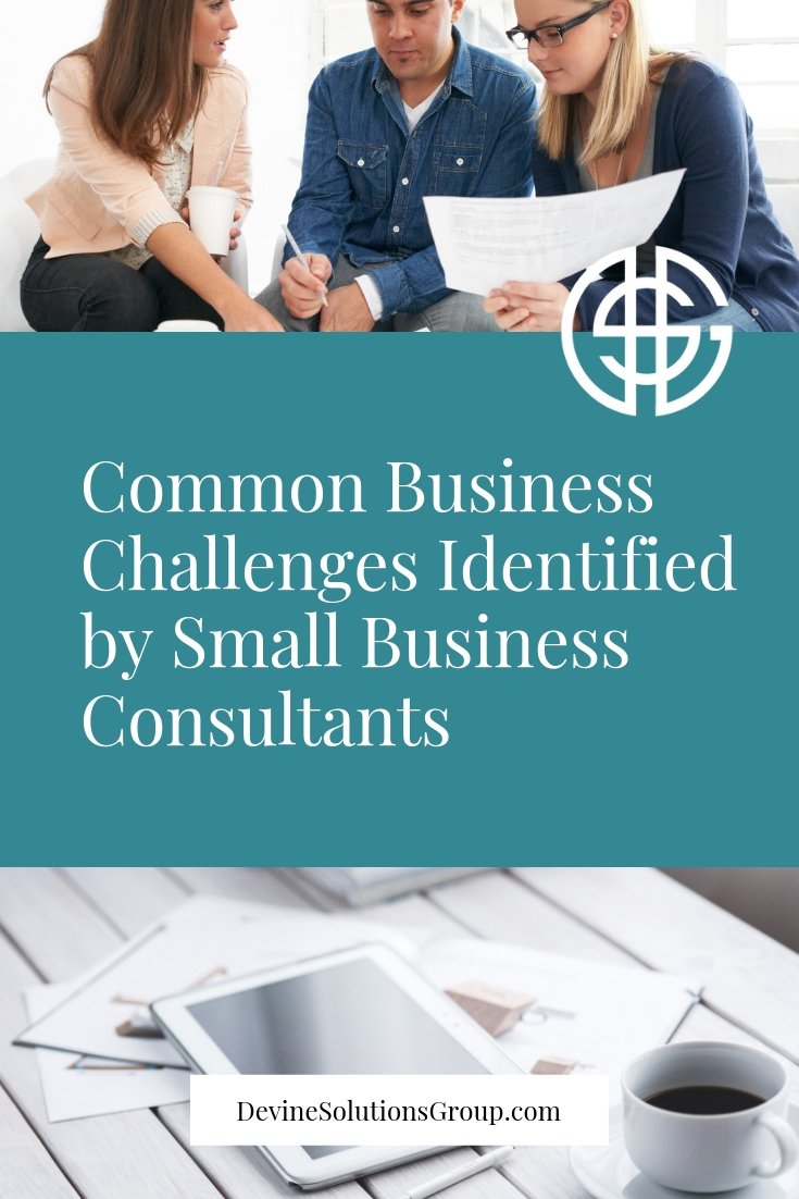 Common Business Challenges Identified by Small Business Consultants ...
